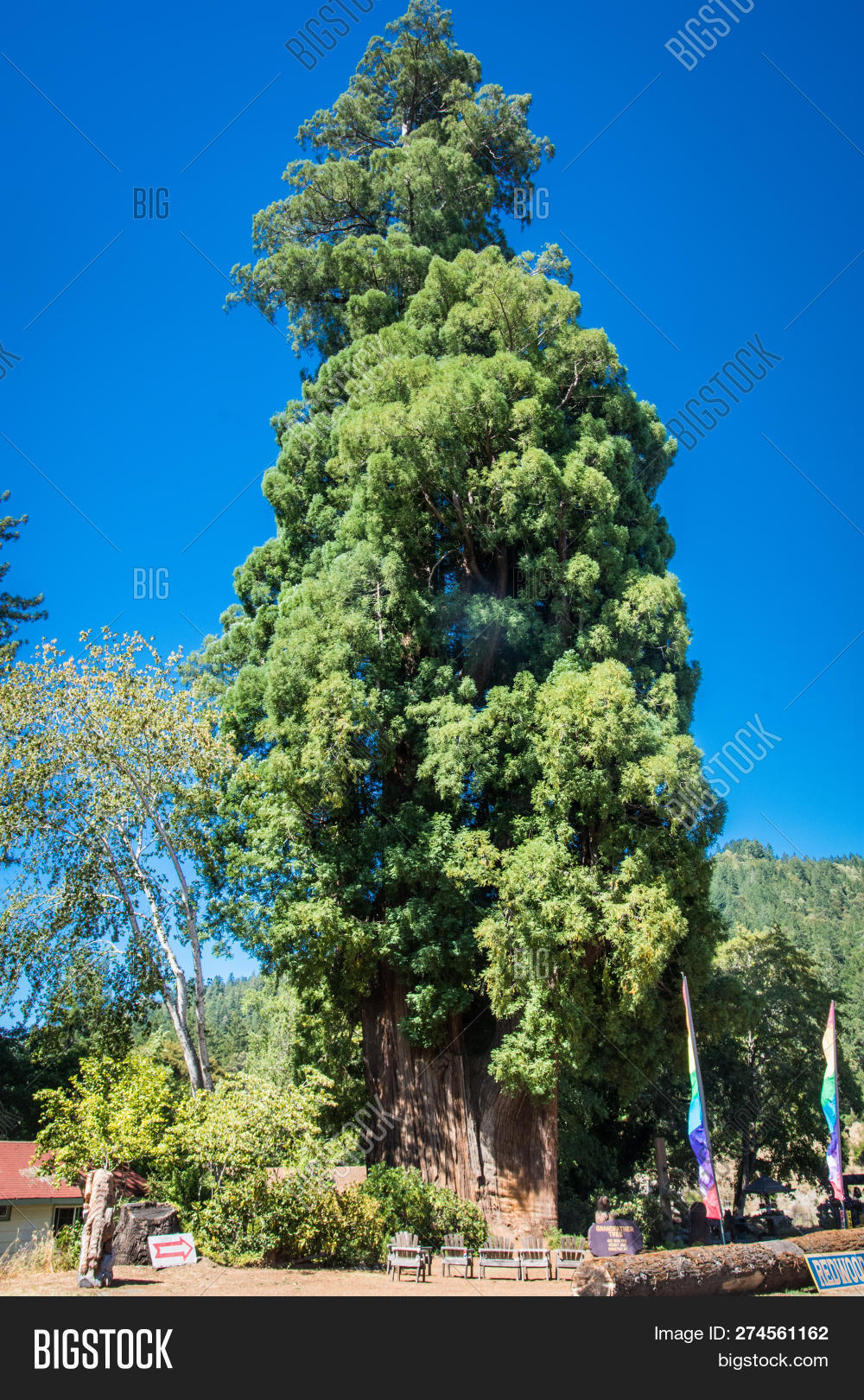 June 15 2017 - Orick, Image & Photo (Free Trial) | Bigstock