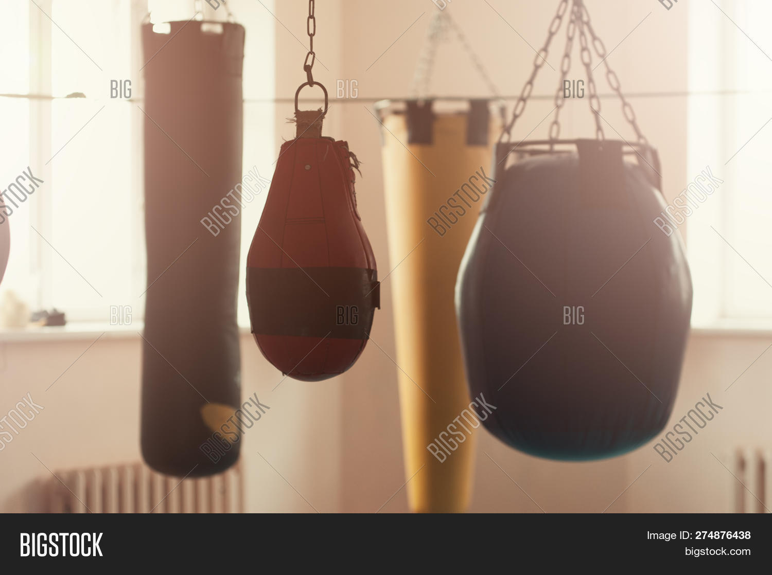 Row Black Boxing Bags Image & Photo (Free Trial) | Bigstock