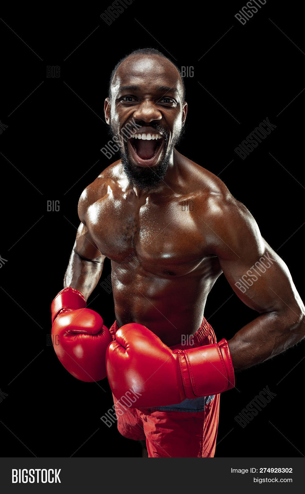 Hands Boxer Over Black Image & Photo (Free Trial) | Bigstock