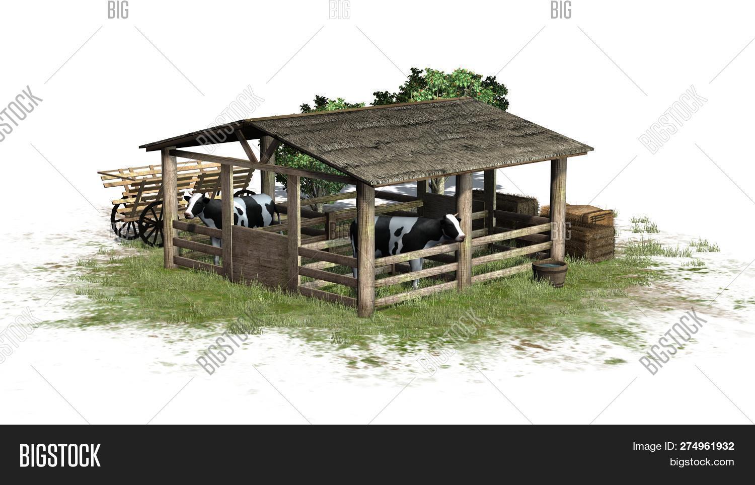 Cows Barn Green Grass Image & Photo (Free Trial) | Bigstock