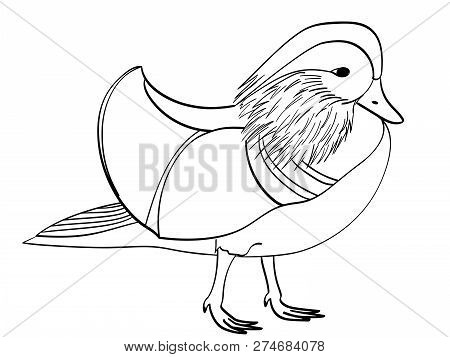 Book Coloring Children Image & Photo (Free Trial) | Bigstock