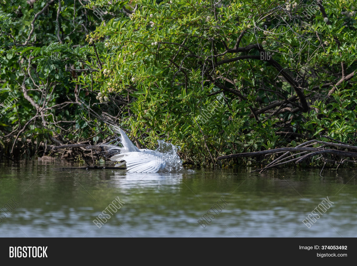 Water Splashing Over Image & Photo (Free Trial) | Bigstock