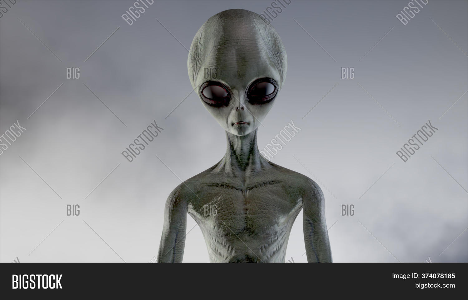 Scary Gray Alien Walks Image & Photo (Free Trial) | Bigstock