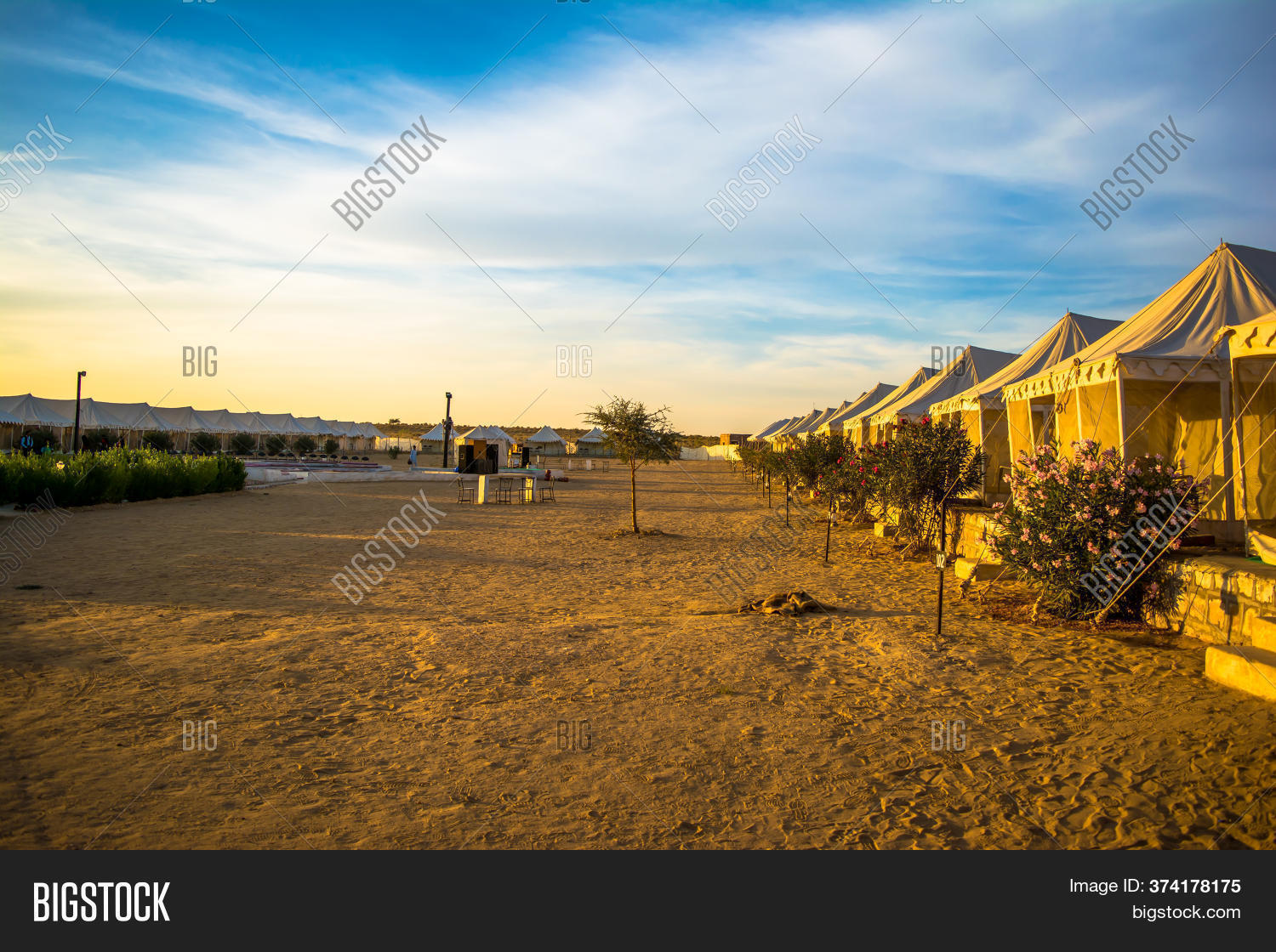 Desert Camping Sam Image & Photo (Free Trial) | Bigstock