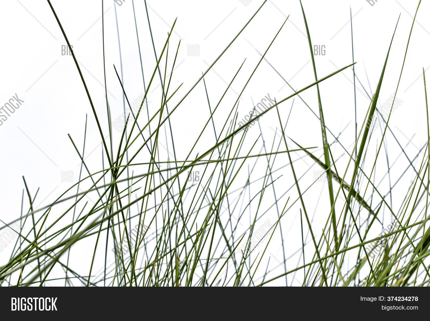 Abstract Natural Image & Photo (Free Trial) | Bigstock