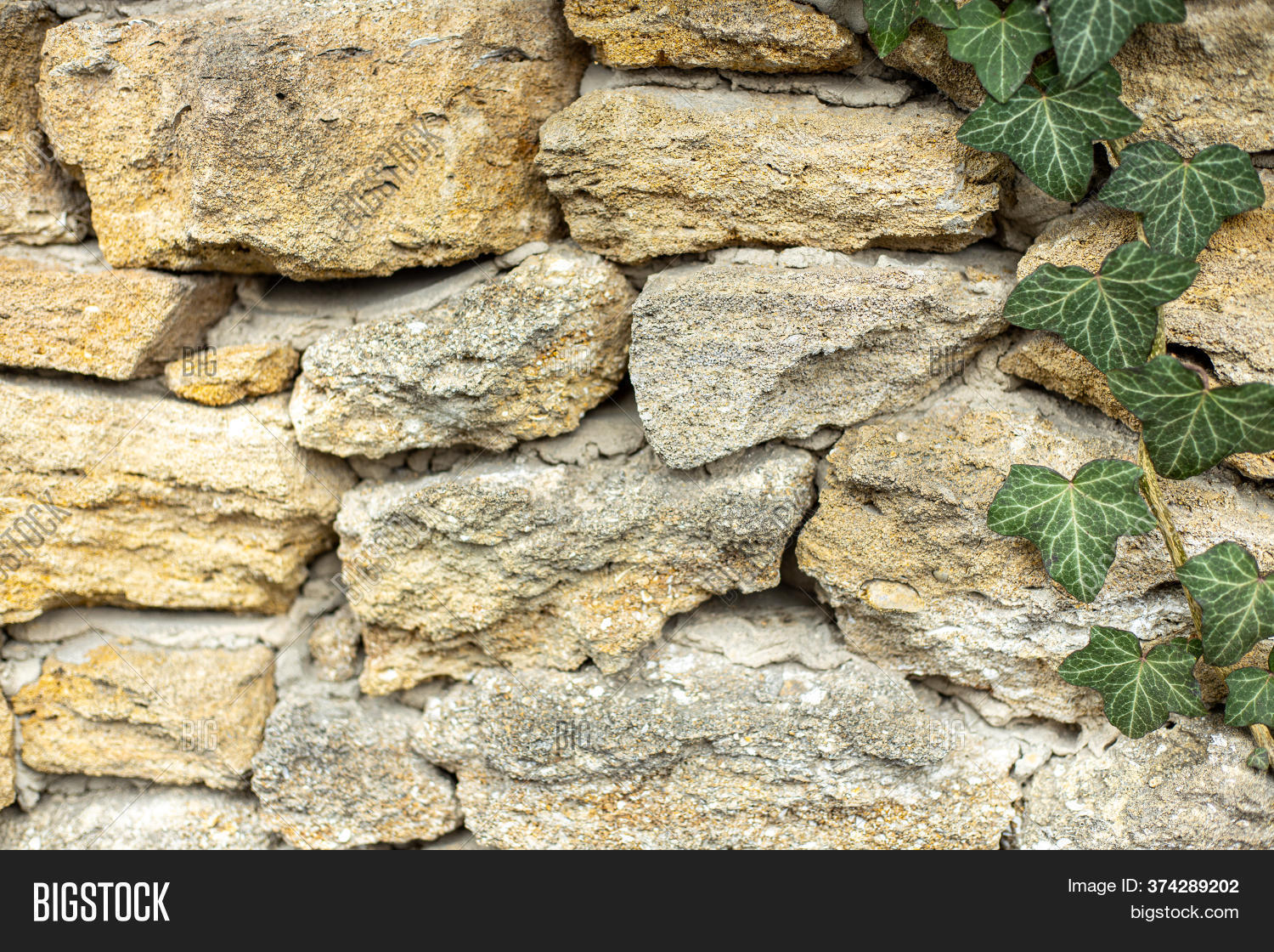 Ivy Rock Background Image & Photo (Free Trial) | Bigstock