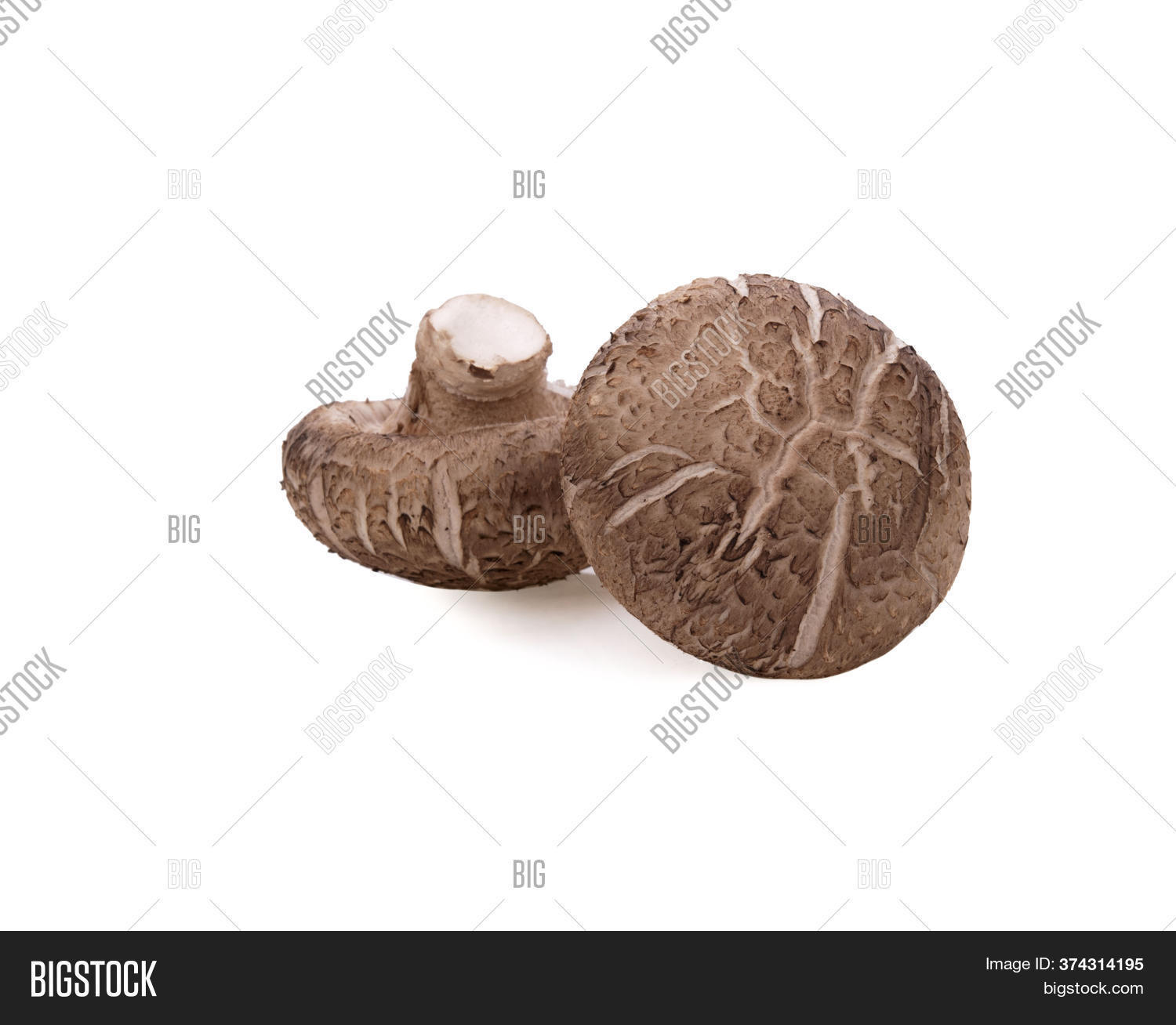 Fresh Shiitake Image & Photo (Free Trial) | Bigstock