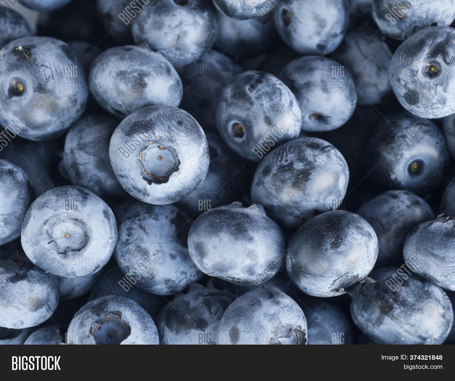 Fresh Blueberry Image & Photo (Free Trial) | Bigstock
