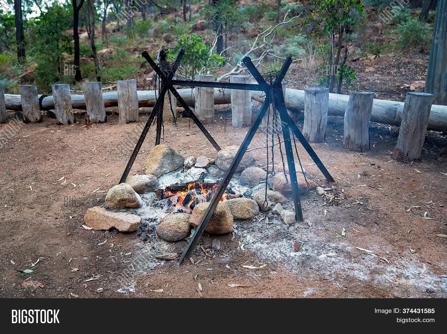 Campfire Guest Bush Image & Photo (Free Trial) | Bigstock
