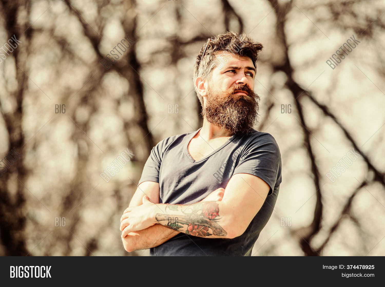 Man Attractive Bearded Image & Photo (Free Trial) | Bigstock