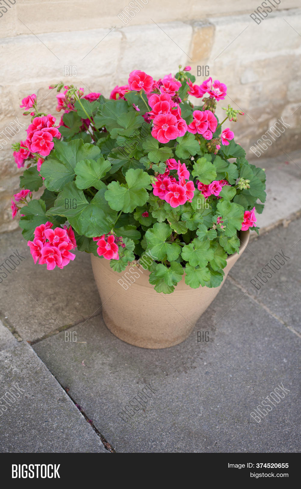 Pink Horseshoe Image & Photo (Free Trial) | Bigstock