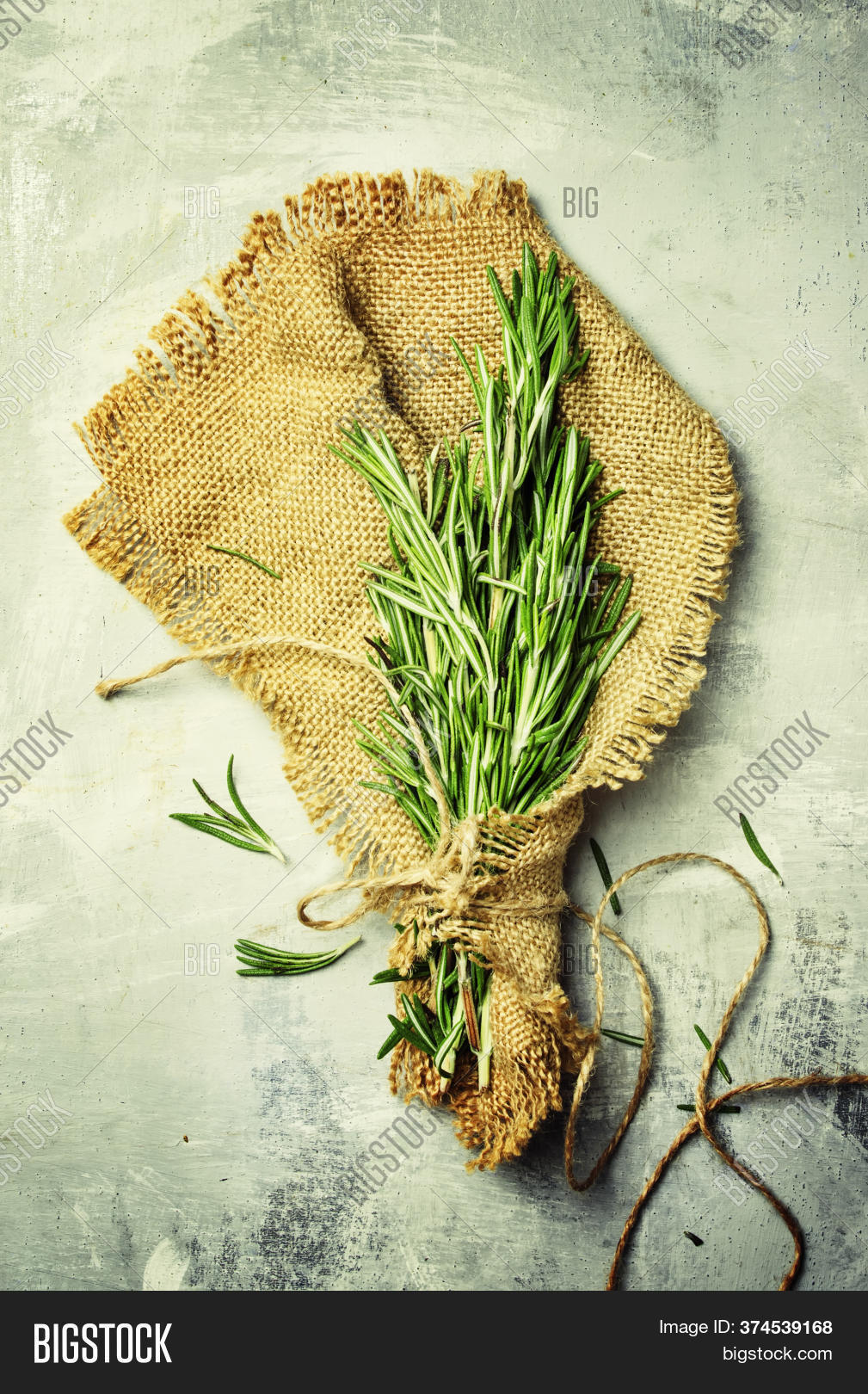 Fresh Rosemary Bundle Image & Photo (Free Trial) | Bigstock