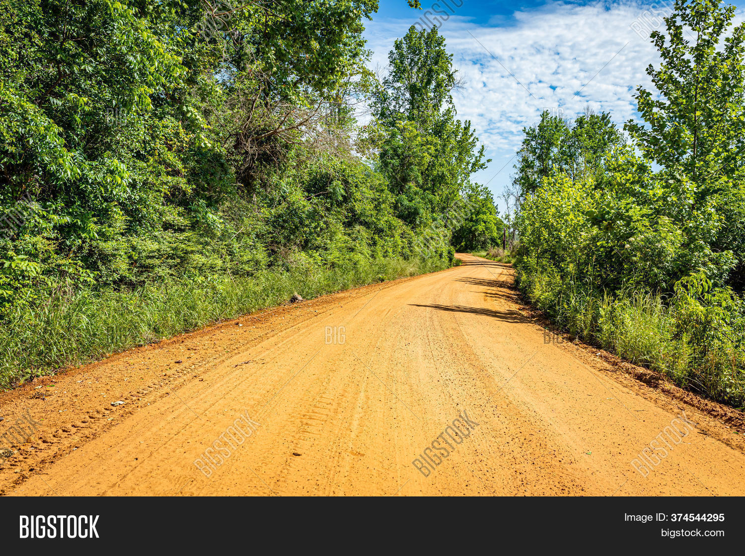 Dirt Road South Image & Photo (Free Trial) | Bigstock