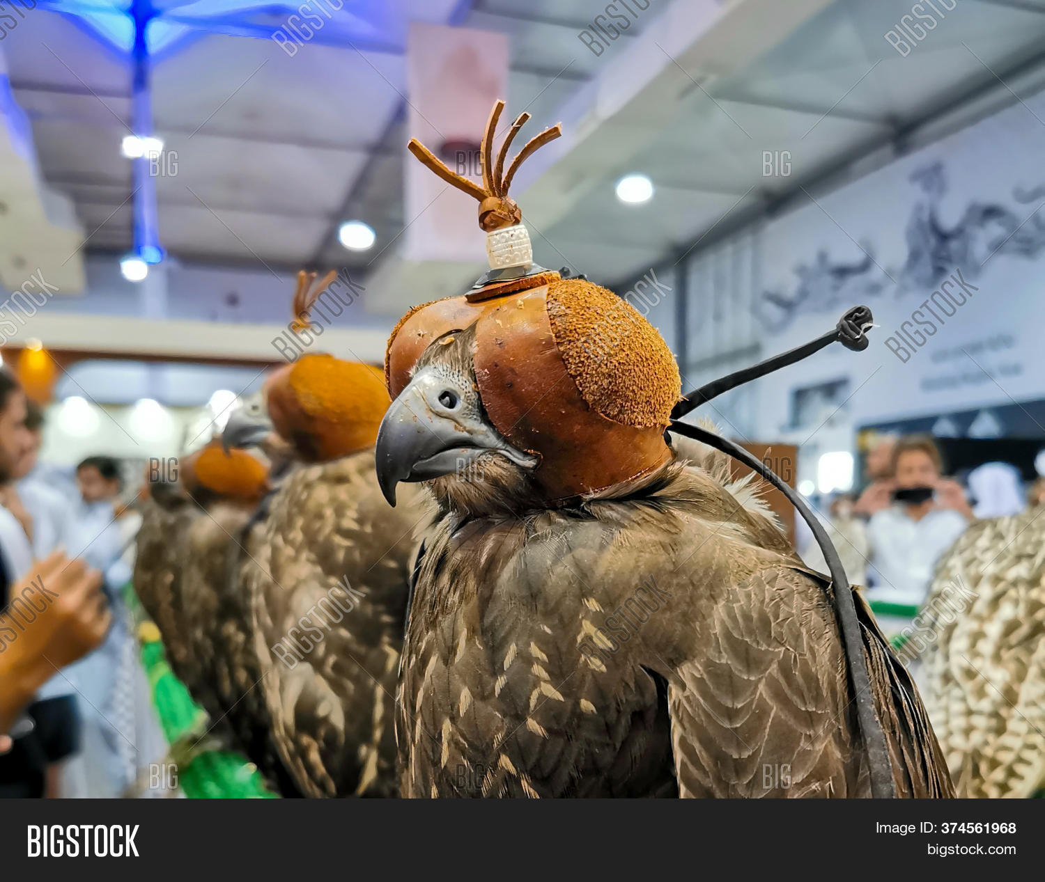 Background Image Image & Photo (Free Trial) | Bigstock