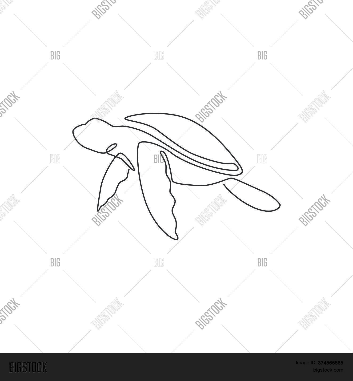 One Single Line Vector & Photo (Free Trial) | Bigstock