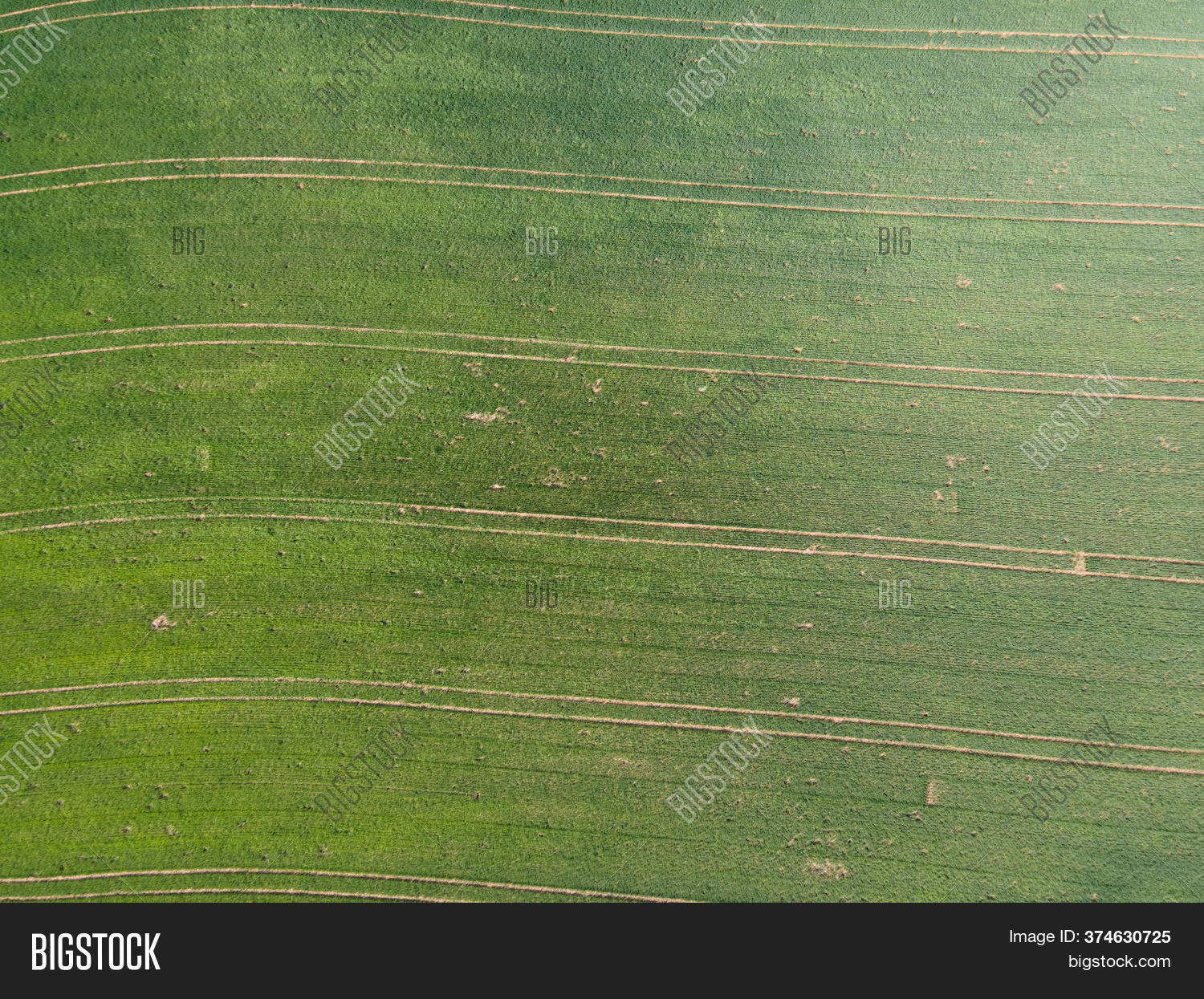 Top-down View Over Image & Photo (Free Trial) | Bigstock