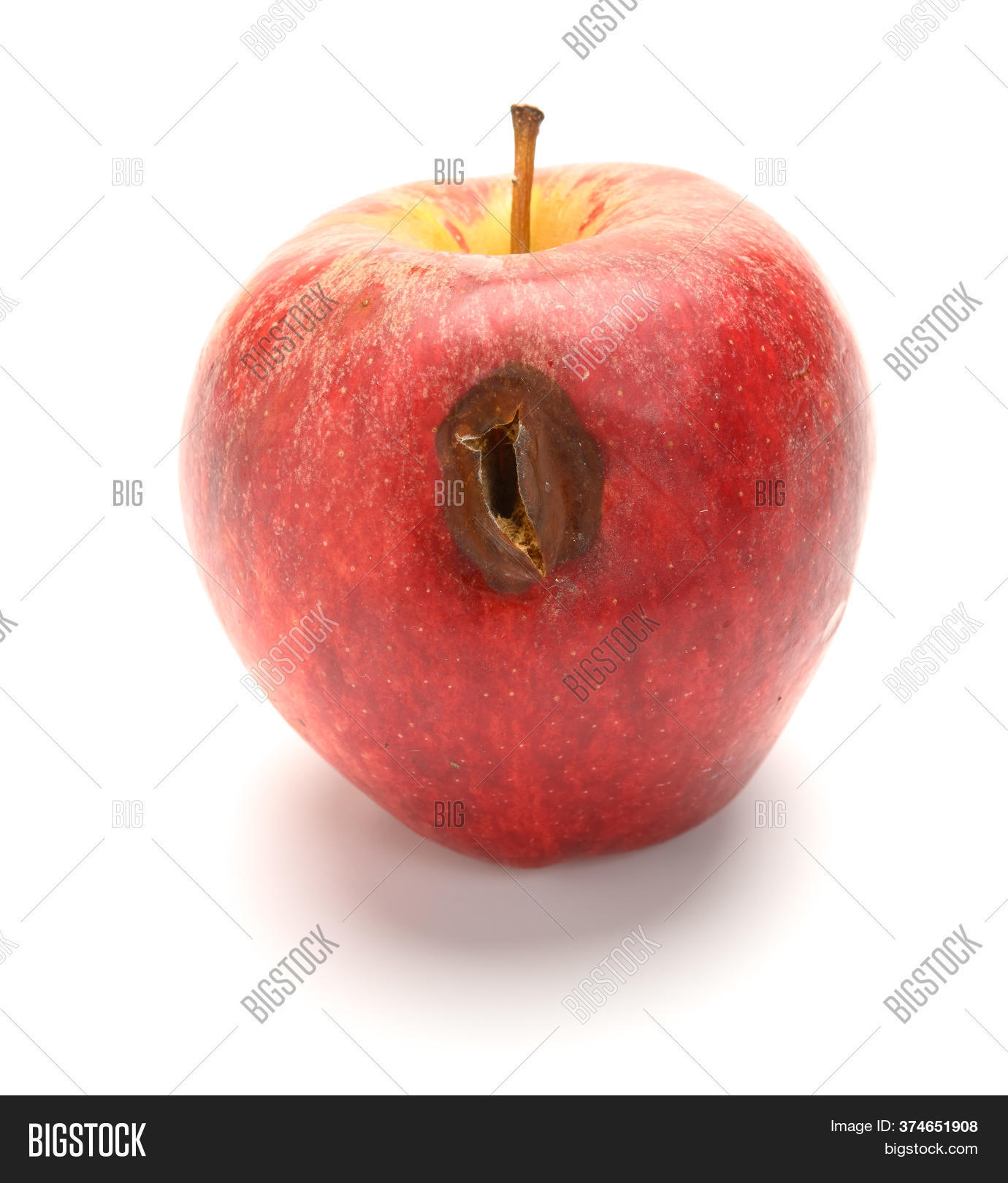 Side View Rotten Apple Image & Photo (Free Trial) | Bigstock