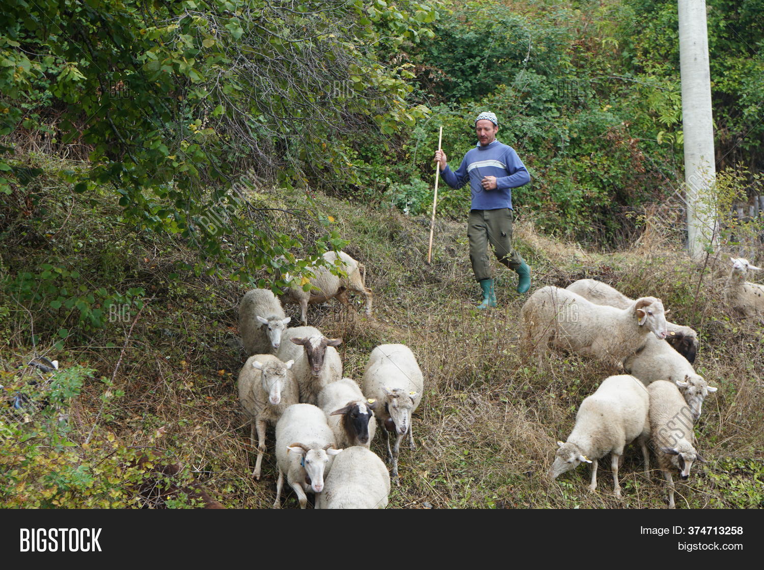 Agriculture Concept. Image & Photo (Free Trial) | Bigstock