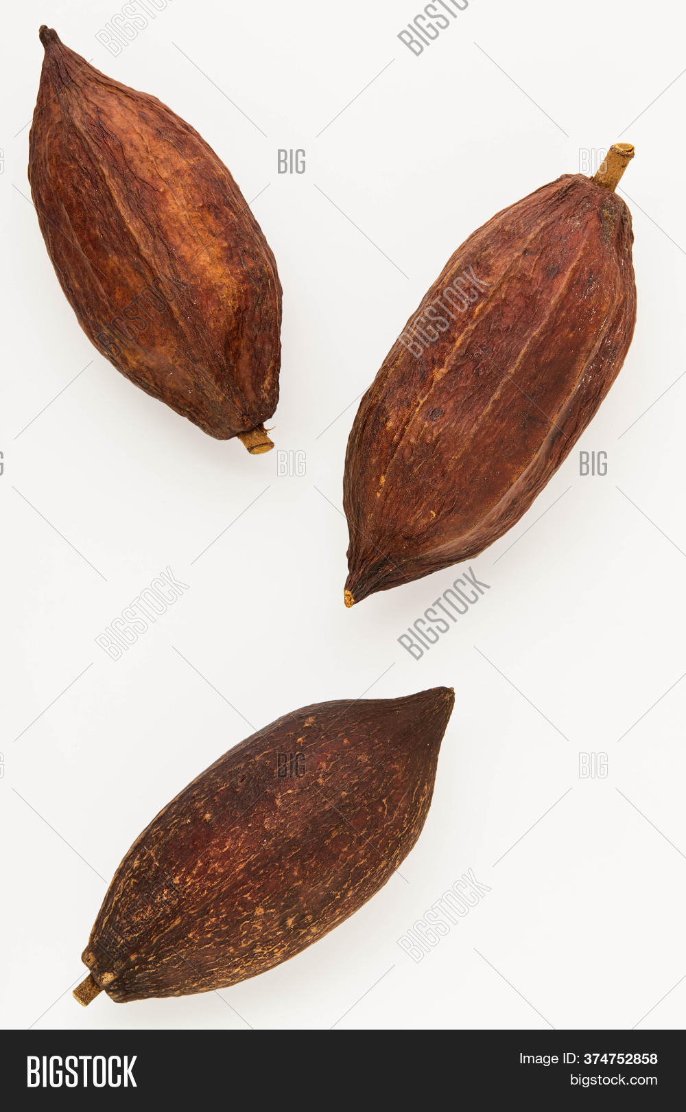 Cocoa Beans Pods On Image & Photo (Free Trial) | Bigstock