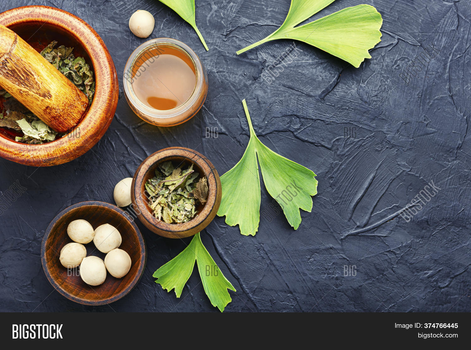 Ginkgo Biloba Herbal Image & Photo (Free Trial) | Bigstock