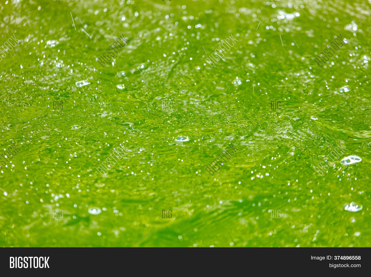 Green Water Abstract Image & Photo (Free Trial) | Bigstock
