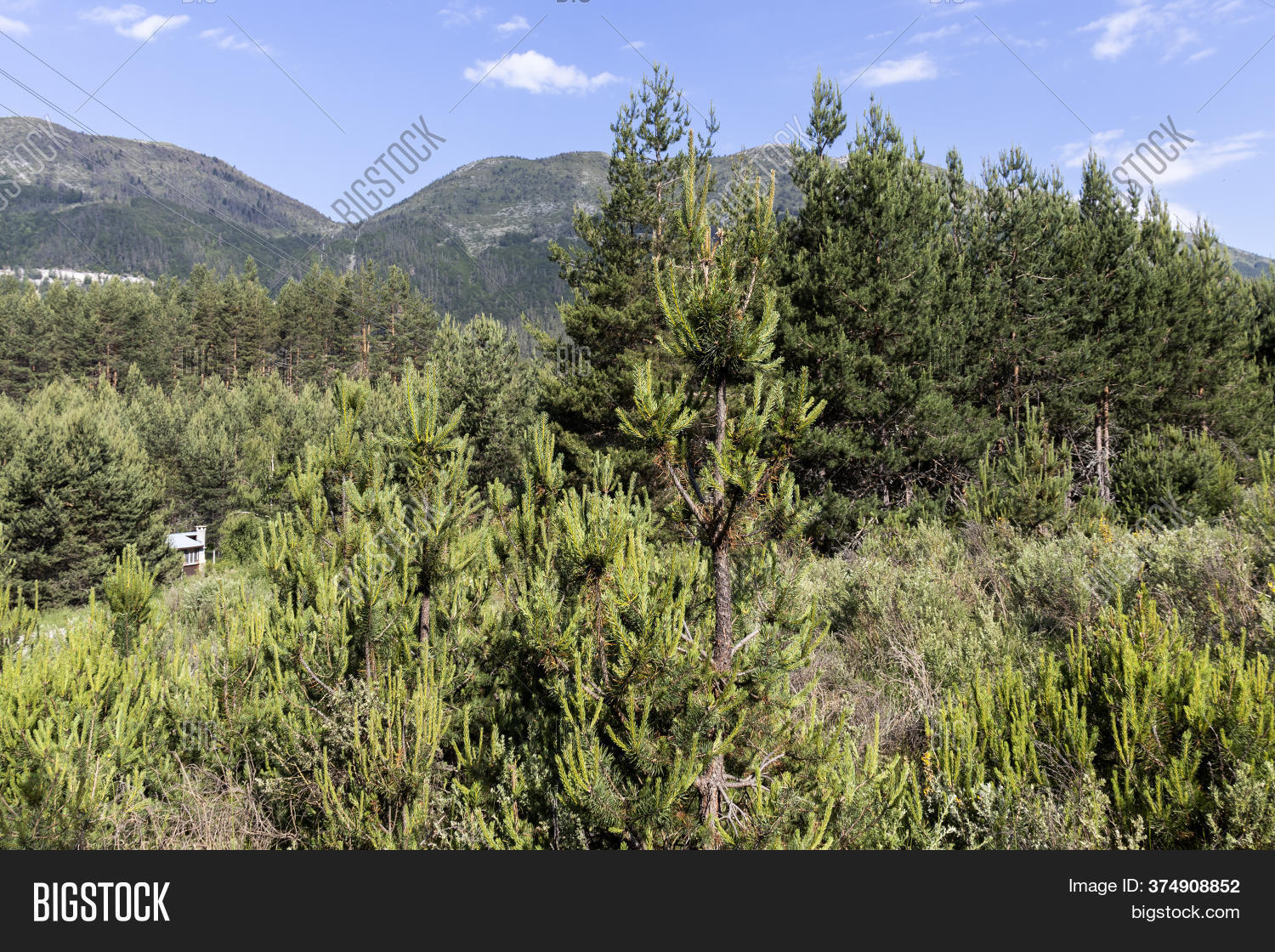 Popovi Livadi Area, Image & Photo (Free Trial) | Bigstock