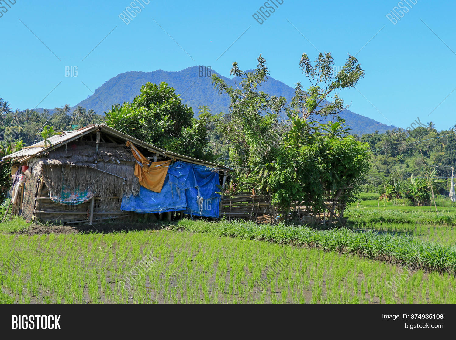 Traditional Farmer Hut Image & Photo (Free Trial) | Bigstock