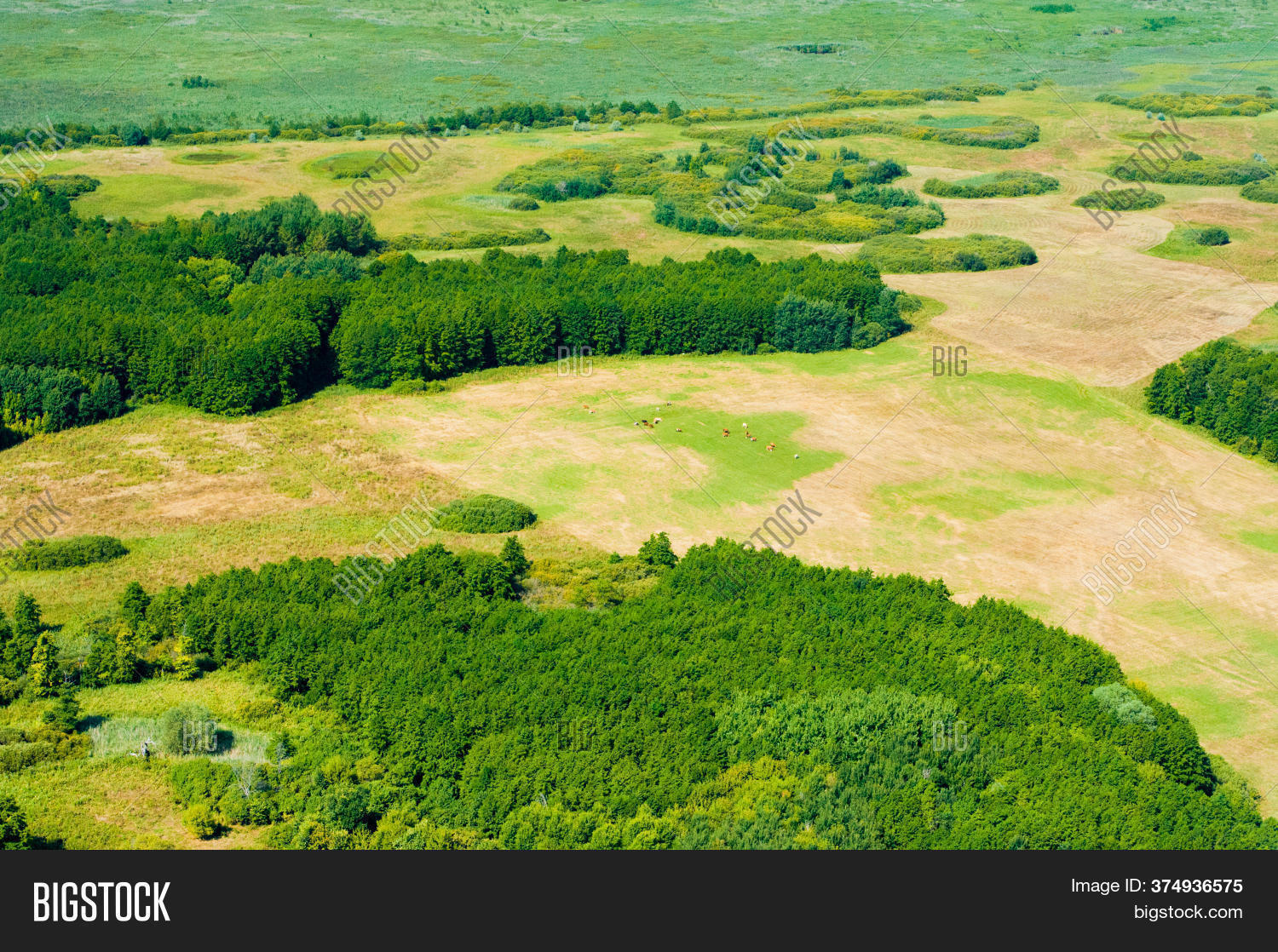 Aerial View Forest Image & Photo (Free Trial) | Bigstock