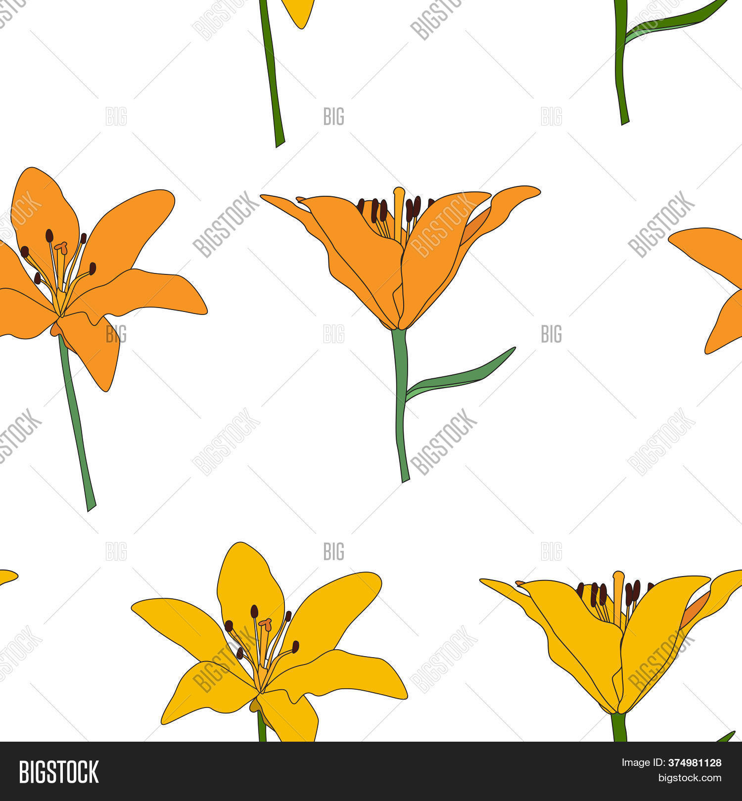 Hand Drawn Lilly Image & Photo (Free Trial) | Bigstock