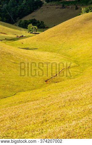 Queensland Countryside Image & Photo (Free Trial) | Bigstock