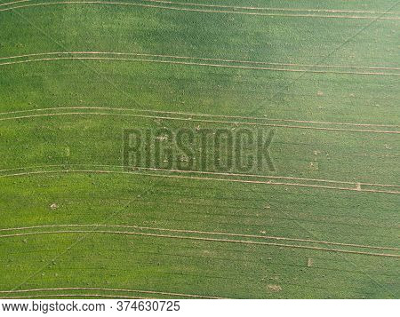 Top-down View Over Image & Photo (Free Trial) | Bigstock