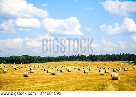 Hay Field Images, Illustrations & Vectors (Free) - Bigstock