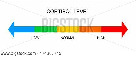 Cortisol Meter Vector & Photo (Free Trial) | Bigstock