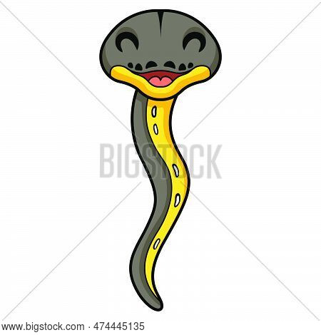 Vector Illustration Vector & Photo (Free Trial) | Bigstock