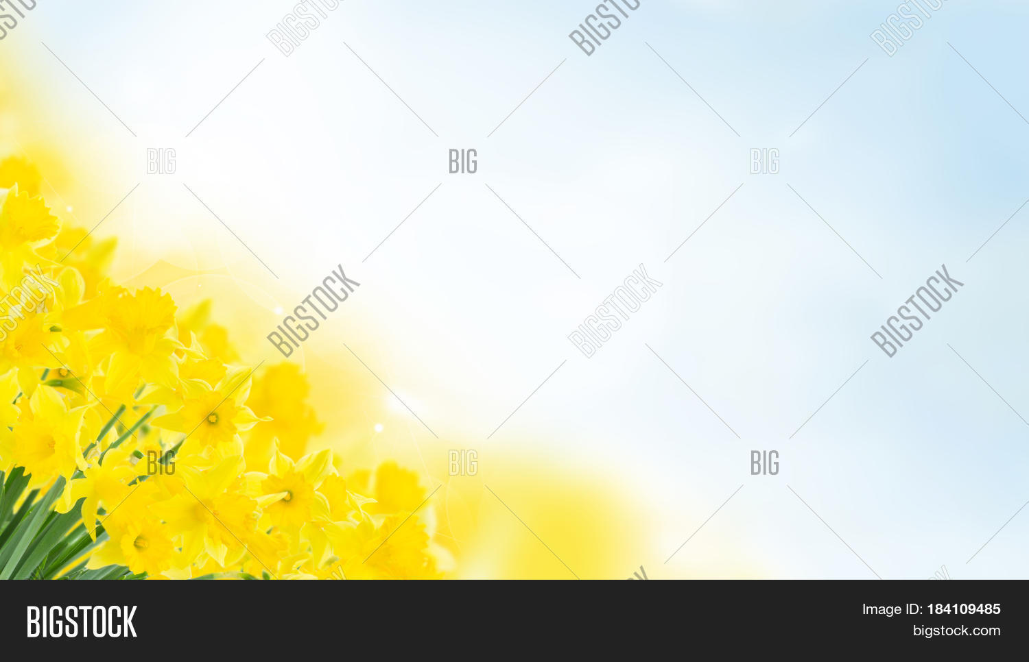 Spring Yellow Image & Photo (Free Trial) | Bigstock