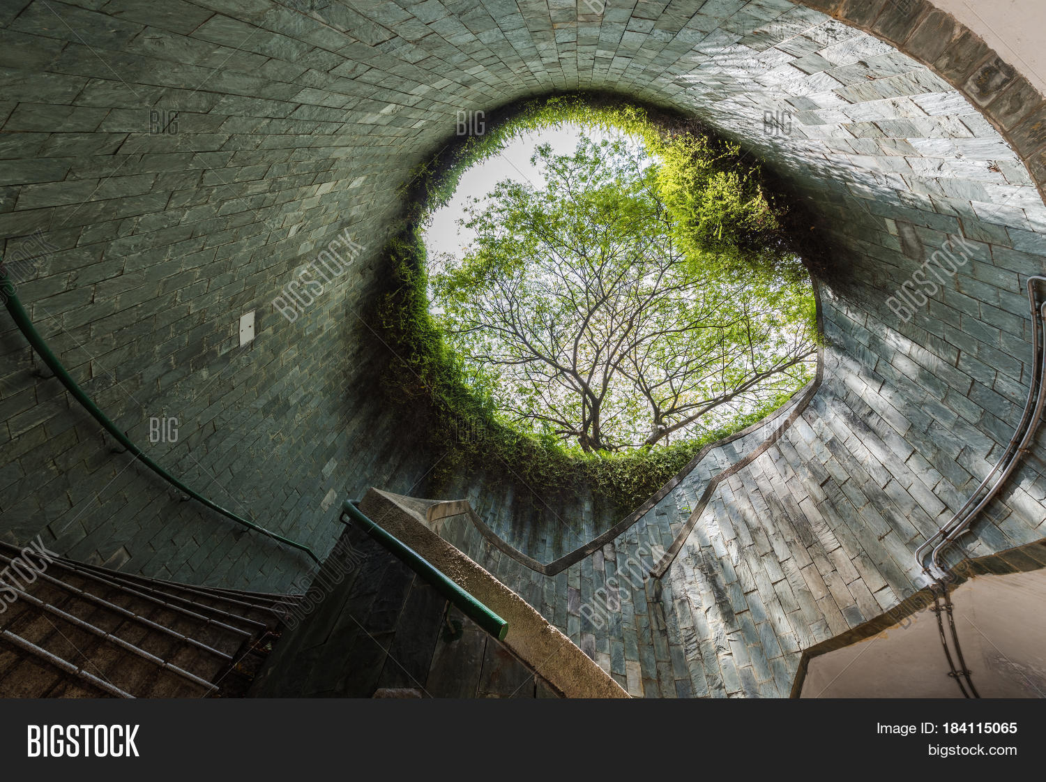 Tree Over Underground Image & Photo (Free Trial) | Bigstock