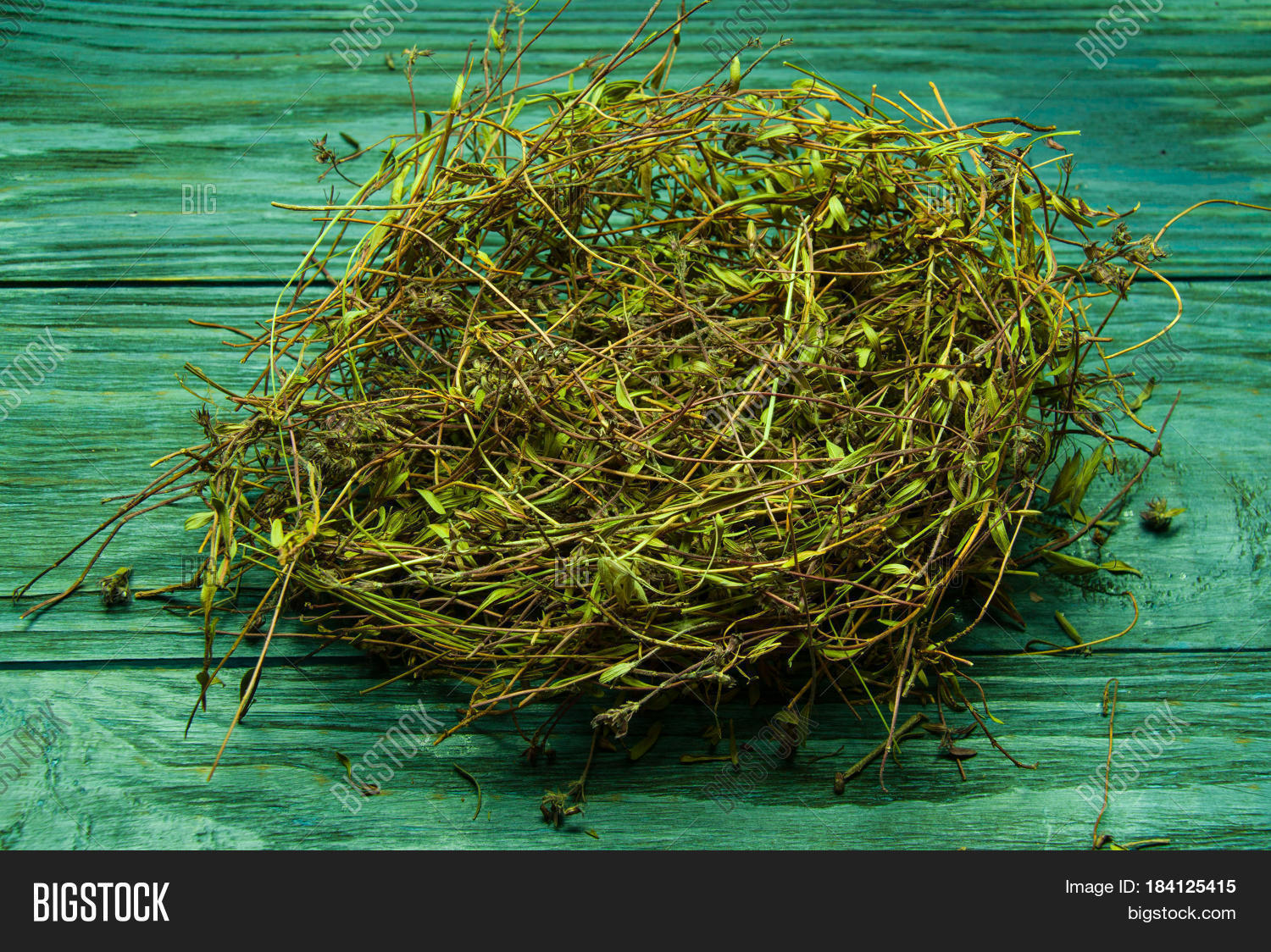 Nest Hay, Bunch Dry Image & Photo (Free Trial) | Bigstock