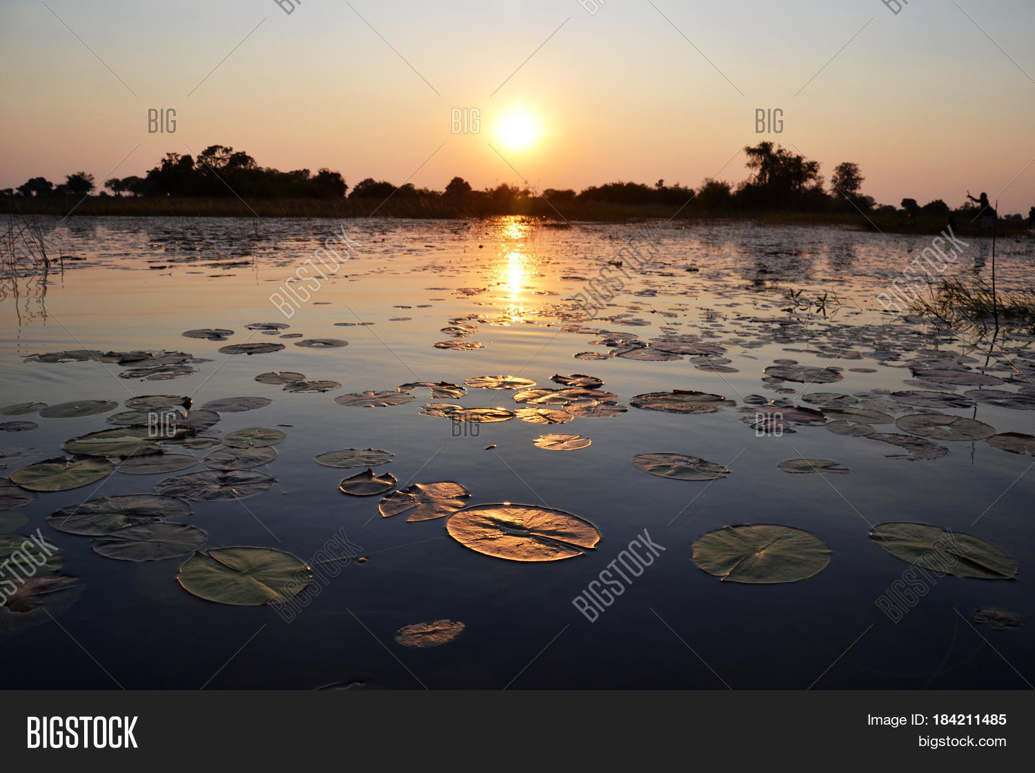 Okavango Delta, Very Image & Photo (Free Trial) | Bigstock