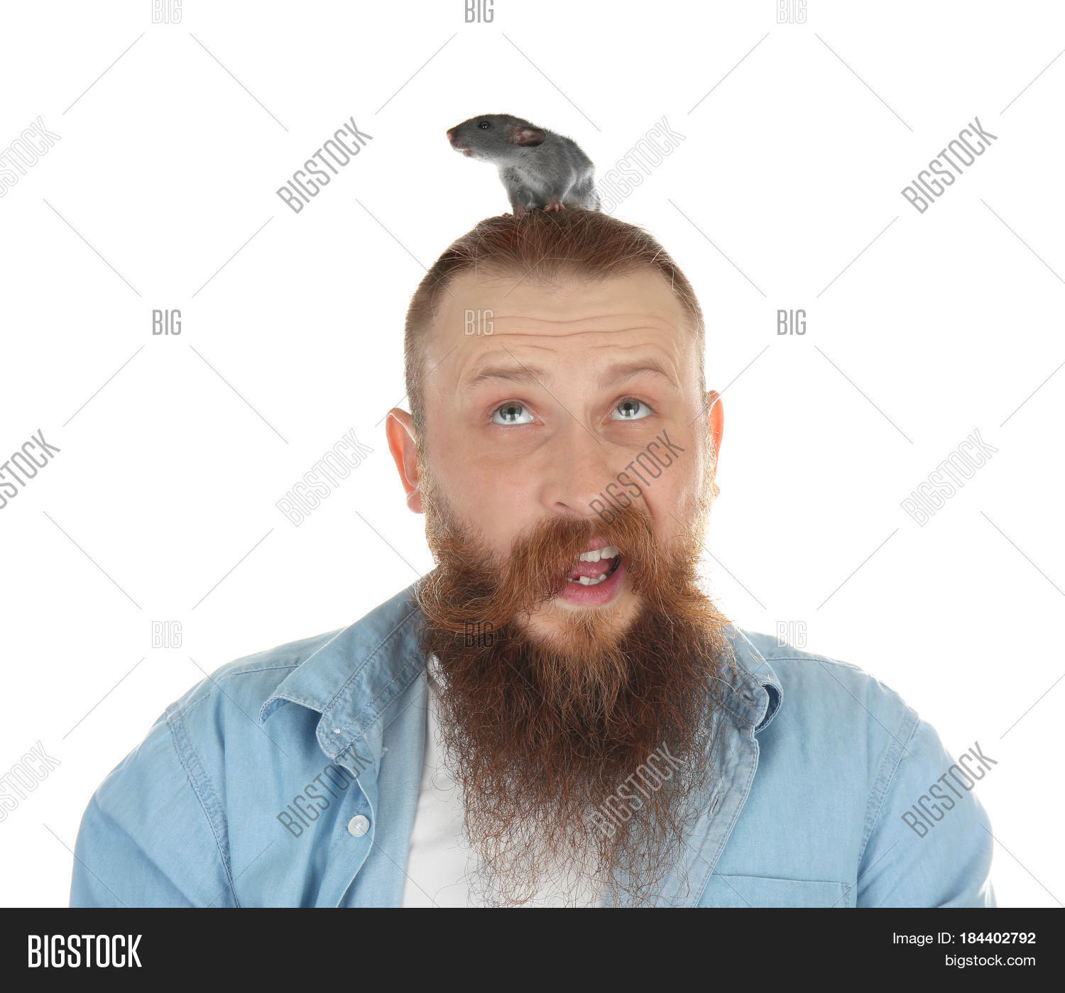 Bearded Man Funny Rat Image & Photo (Free Trial) | Bigstock