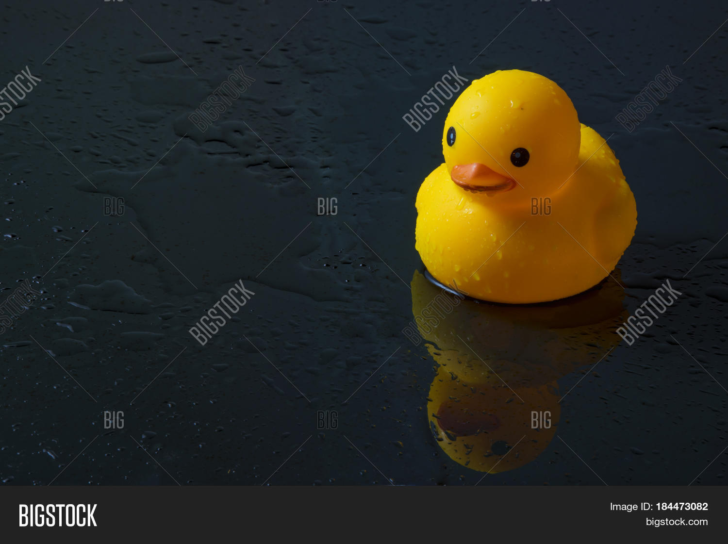 Rubber Duck Yellow Toy Image & Photo (Free Trial) | Bigstock