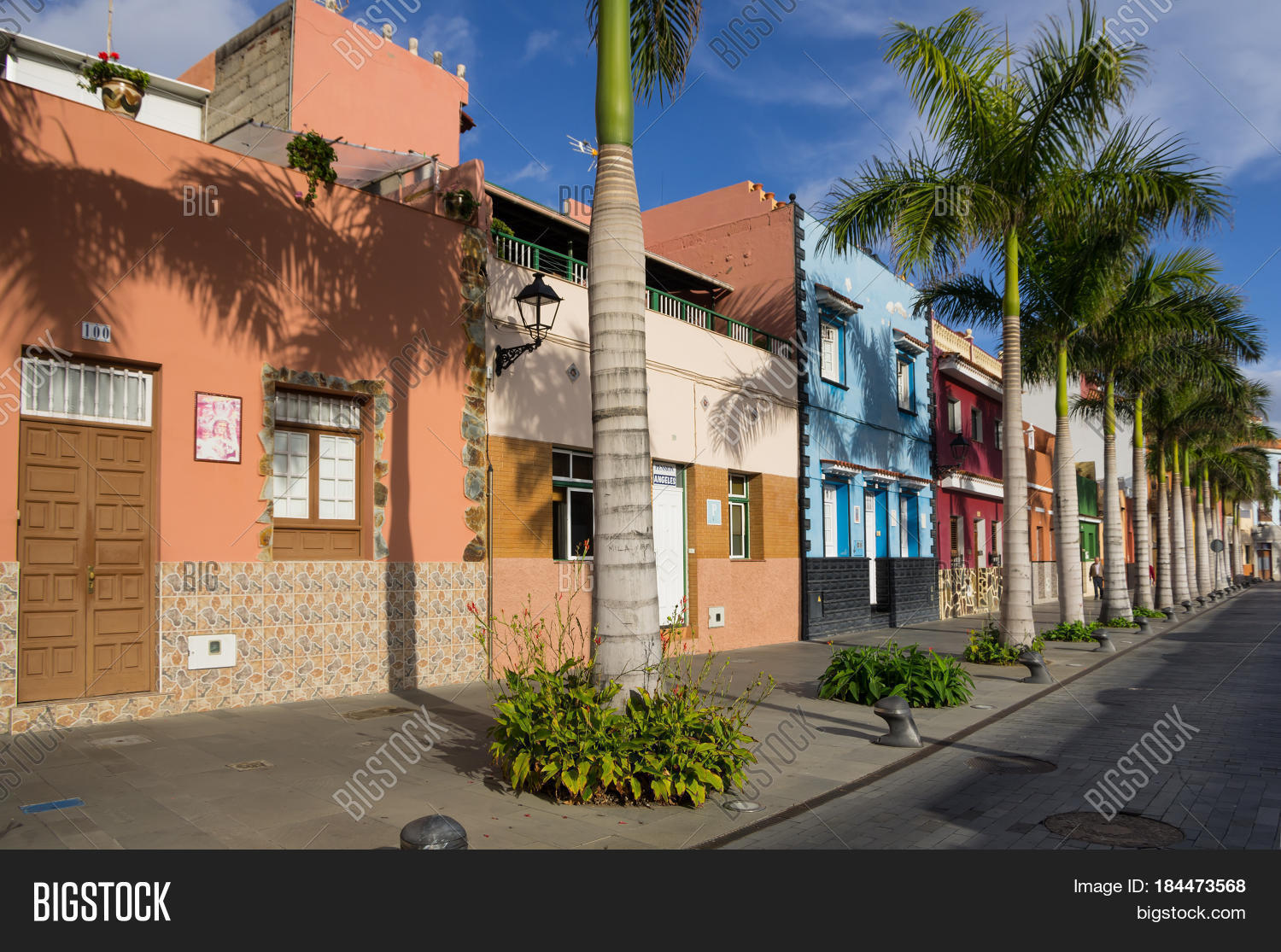 Beautiful Colorful Image & Photo (Free Trial) | Bigstock