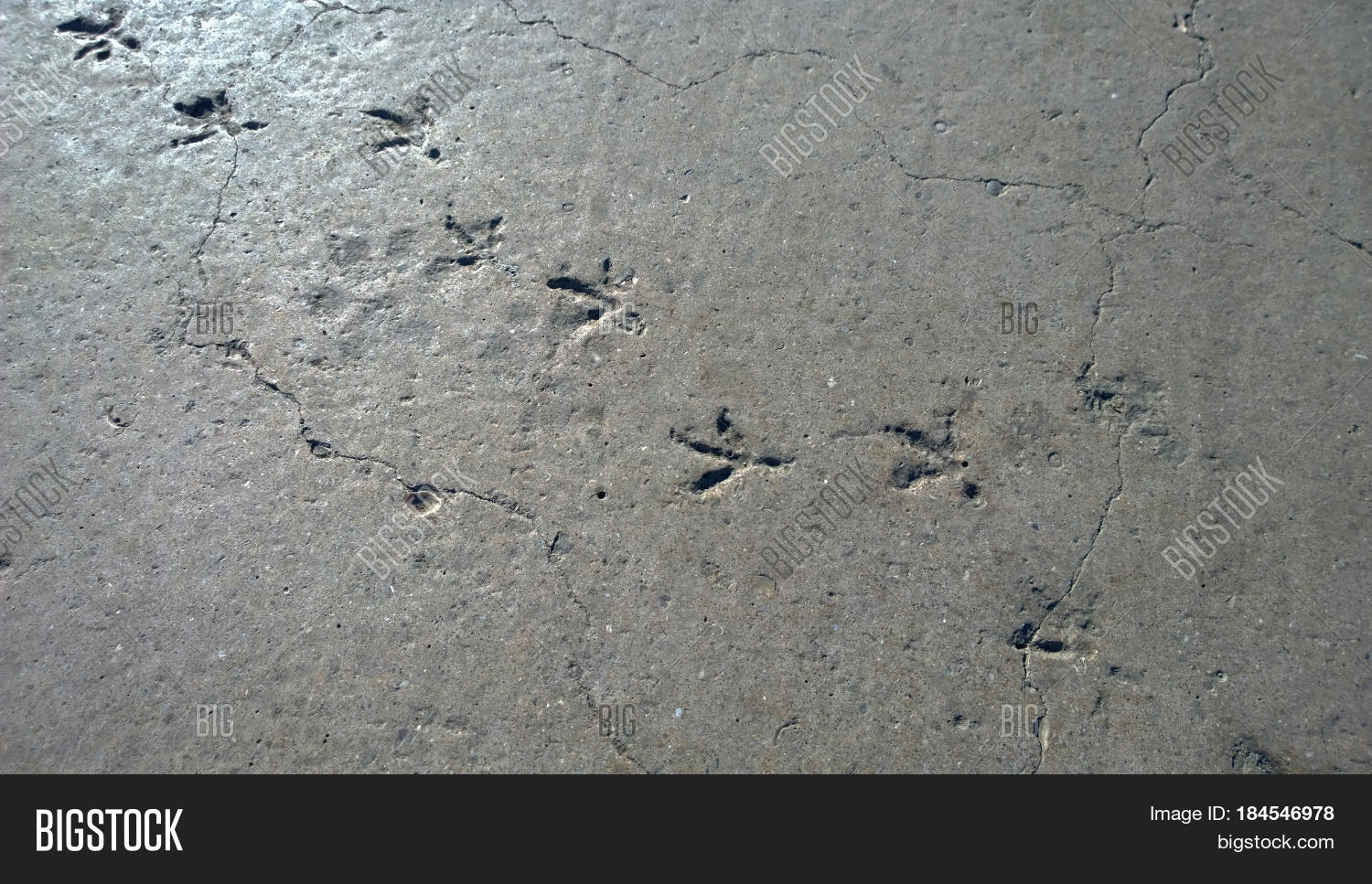 Frozen Concrete Traces Image & Photo (Free Trial) | Bigstock