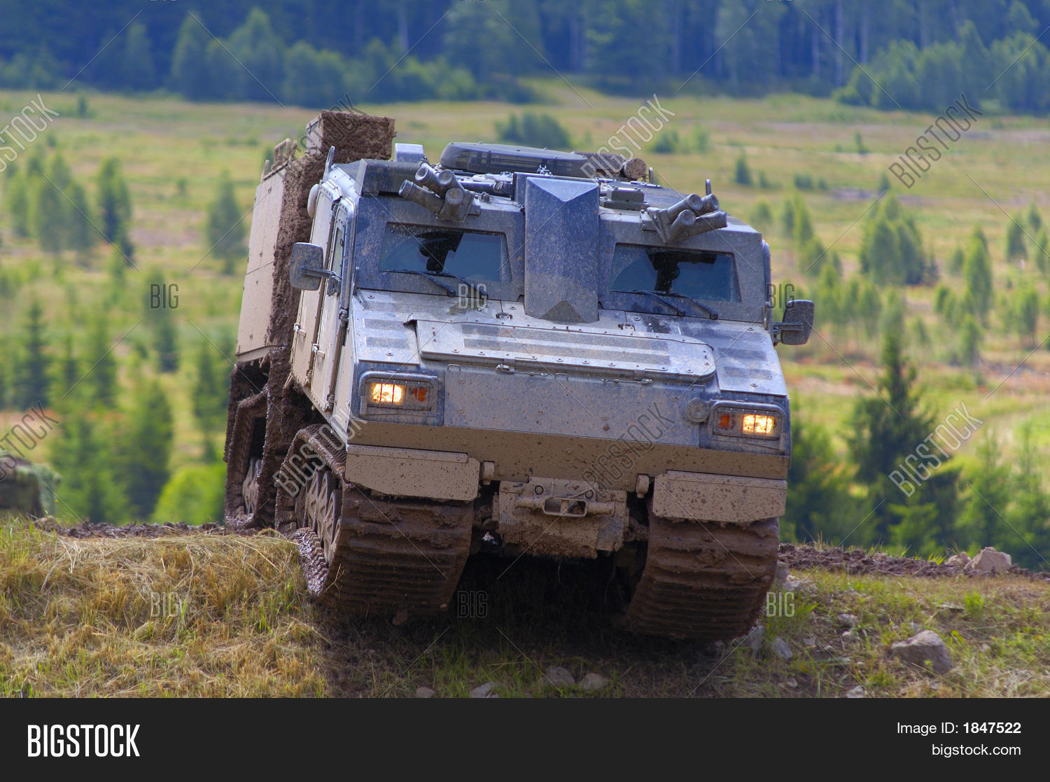 Bvs10 Viking Image & Photo (Free Trial) | Bigstock