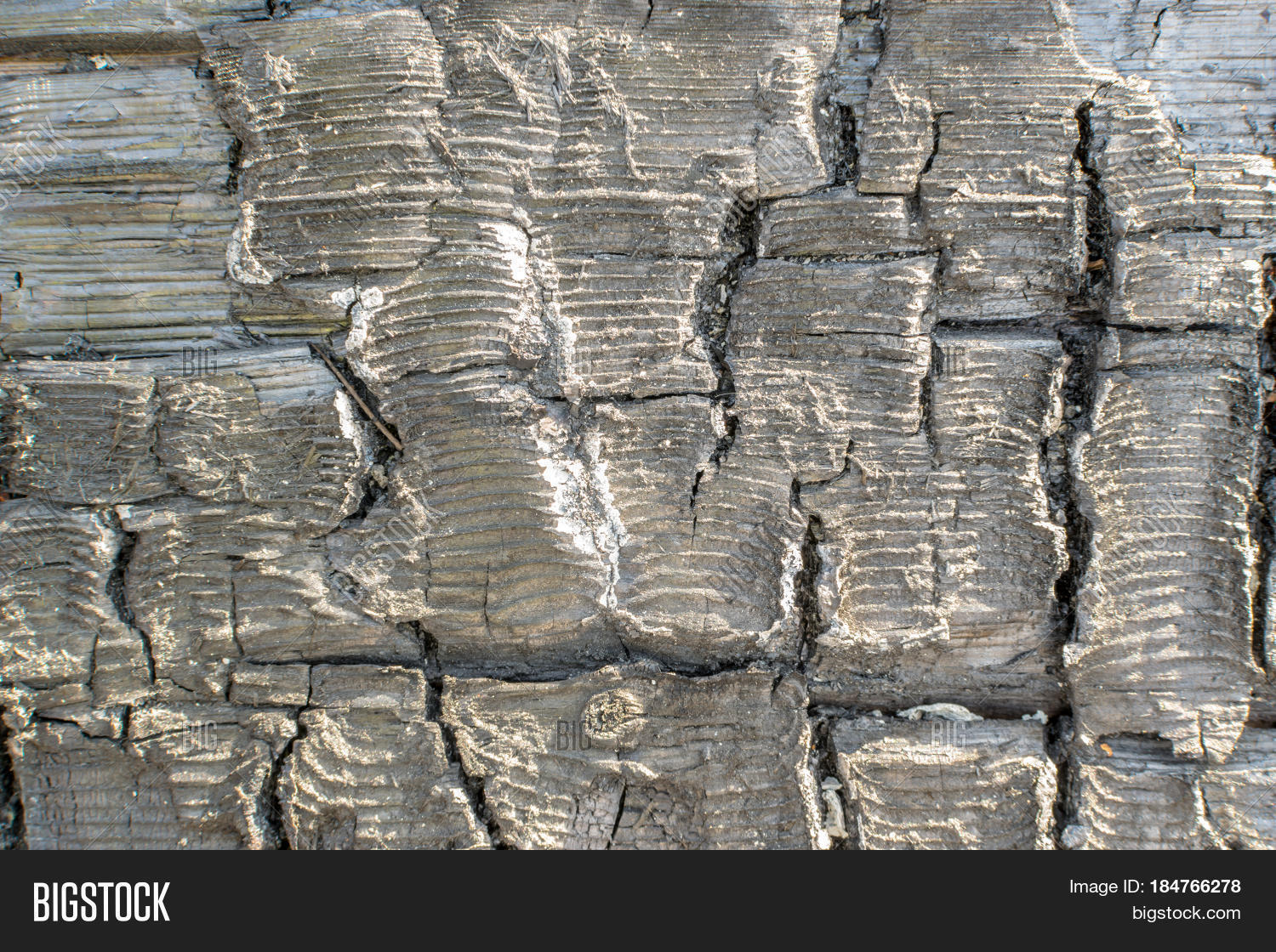 Burnt Wood Charcoal Image & Photo (Free Trial) | Bigstock