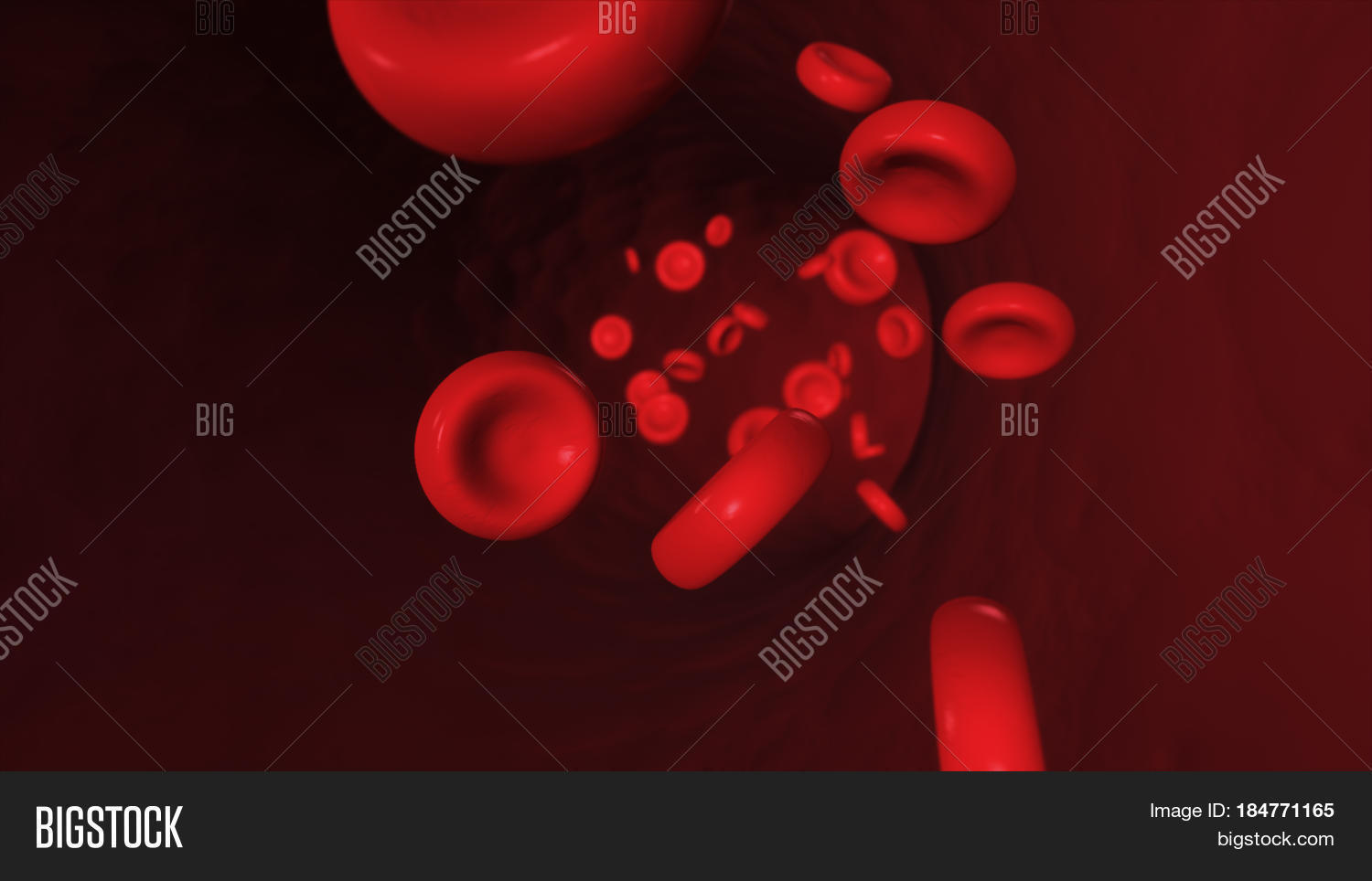 Red Blood Corpuscles Image & Photo (Free Trial) | Bigstock