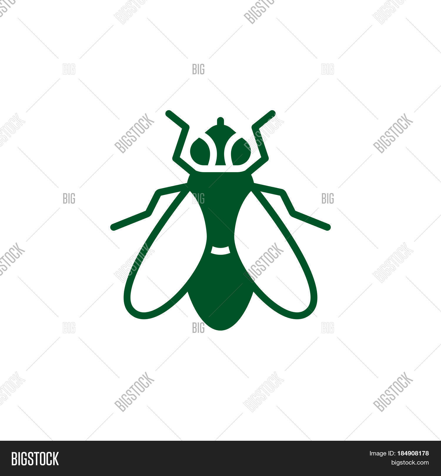 Fly Icon Vector Vector & Photo (Free Trial) | Bigstock