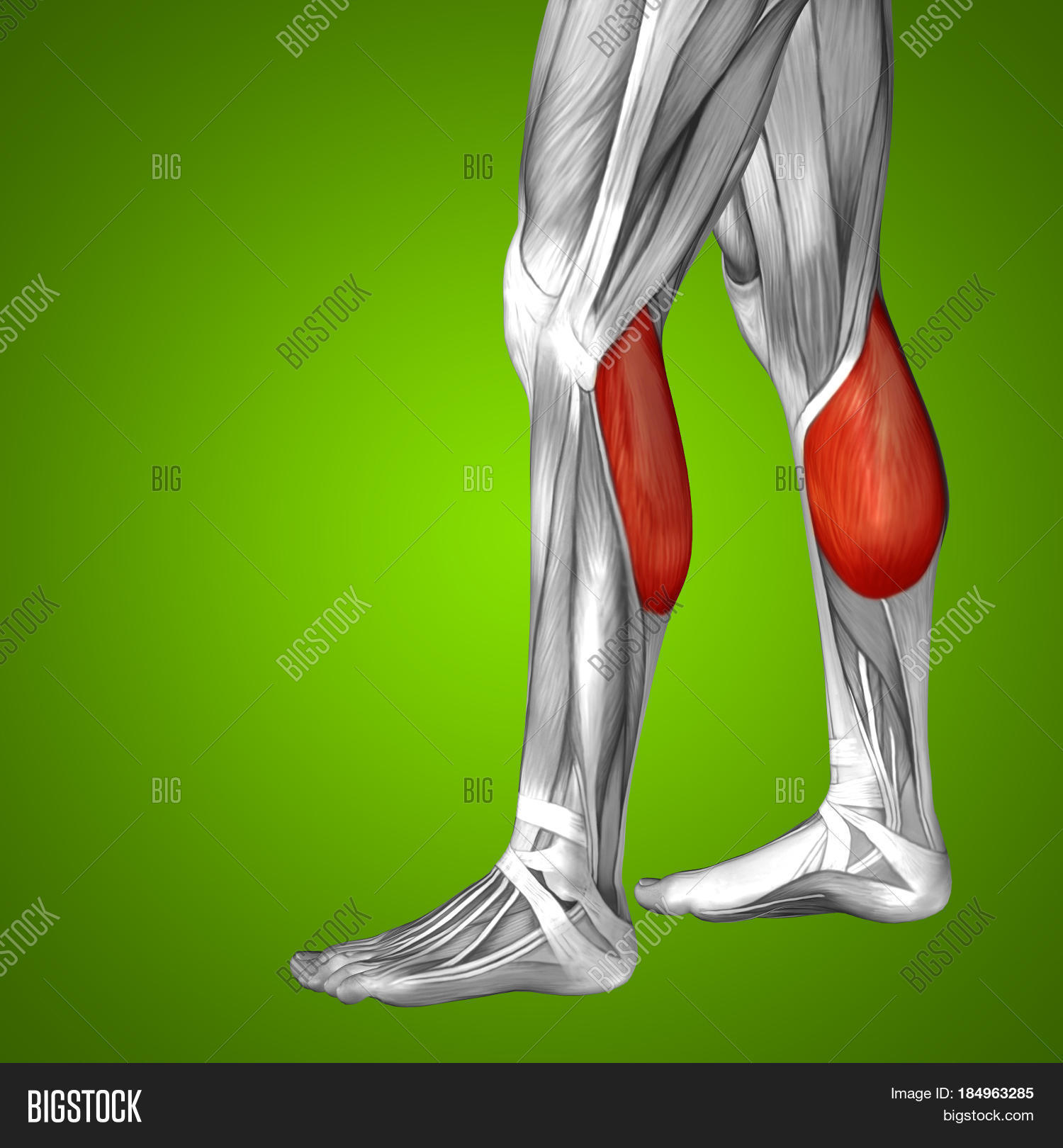 Concept Conceptual 3D Image & Photo (Free Trial) | Bigstock