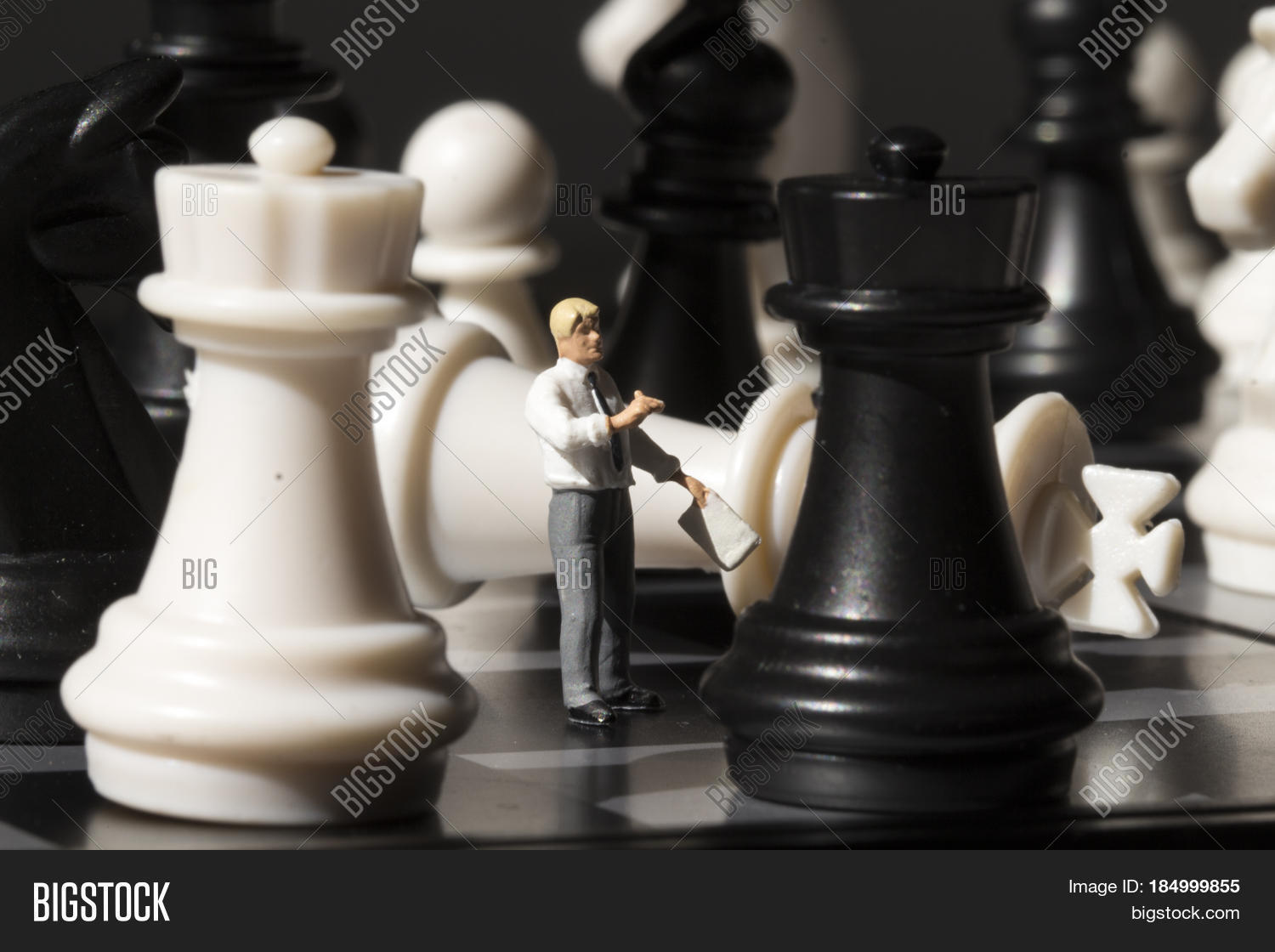 Chessman Chess King Image & Photo (Free Trial) | Bigstock