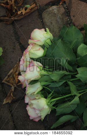 Pink Roses On Pavement Image & Photo (Free Trial) | Bigstock