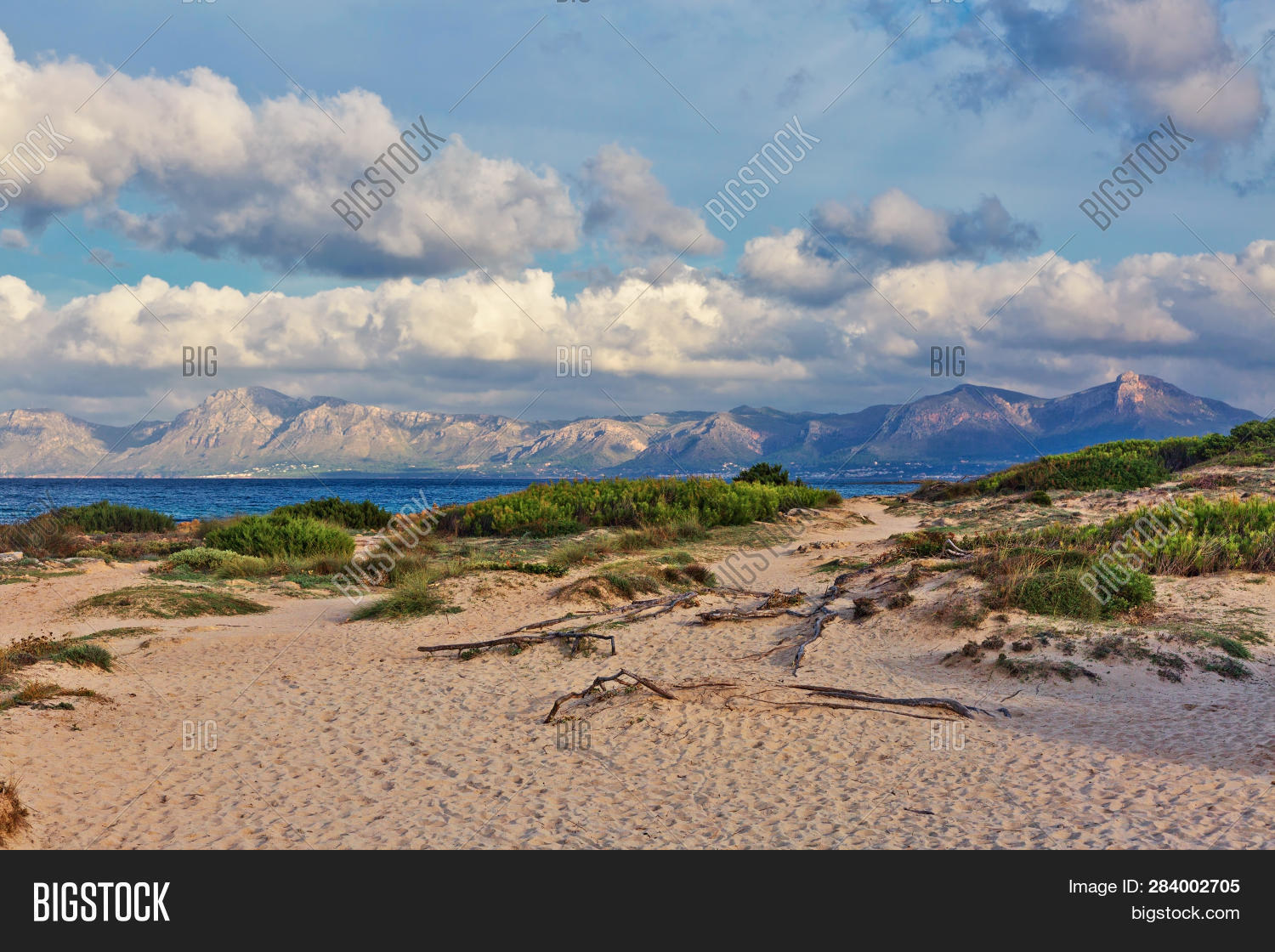 Seacoast Near Can Image & Photo (Free Trial) | Bigstock